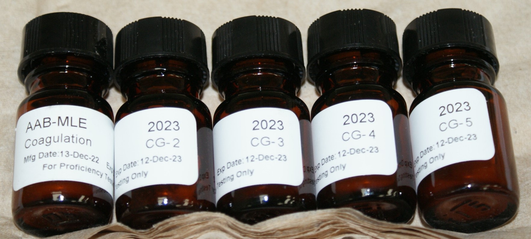 2024 AAB MLE Program Guide