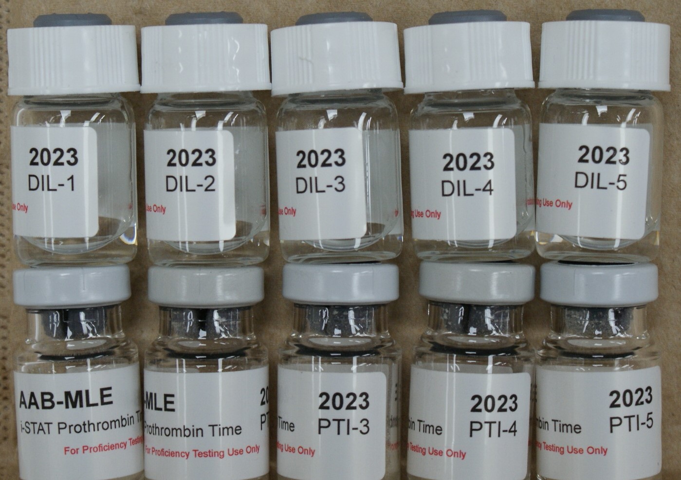 2024 AAB MLE Program Guide