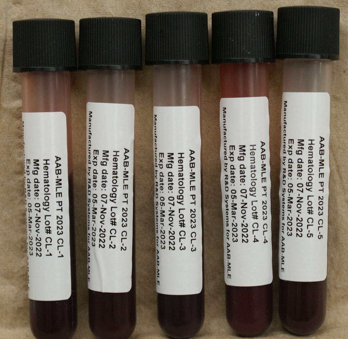 2024 AAB MLE Program Guide