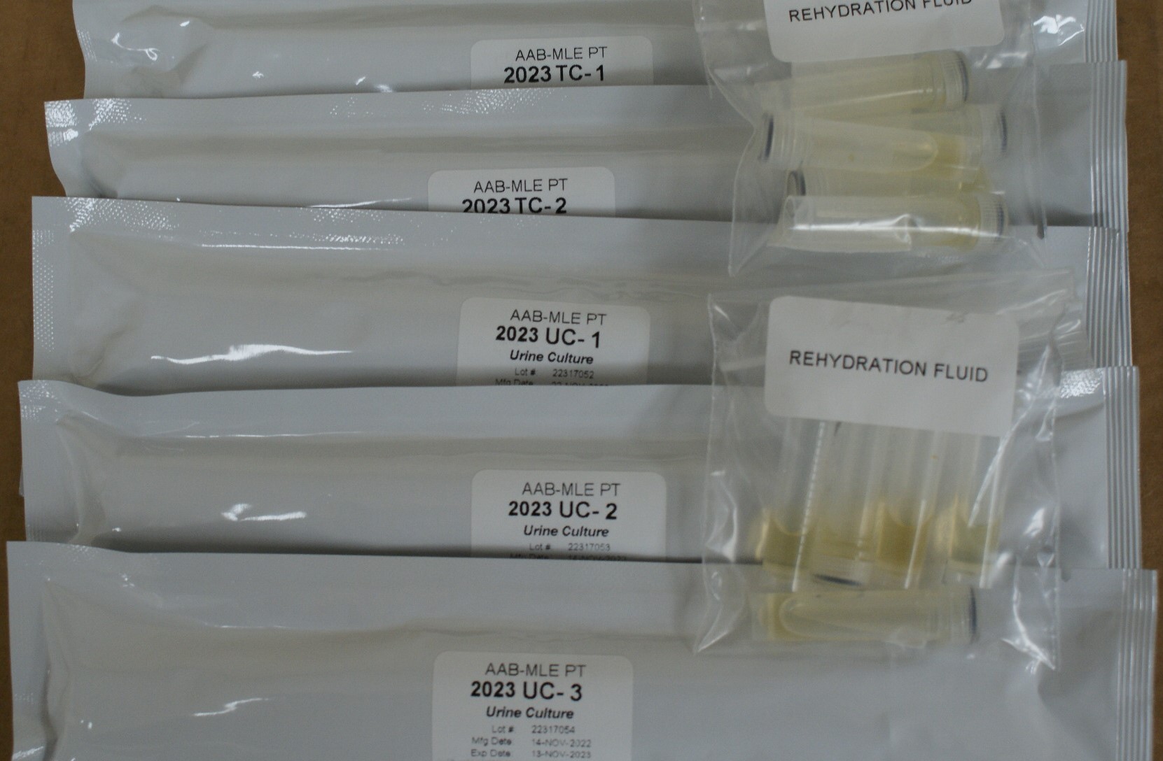 2024 AAB MLE Program Guide