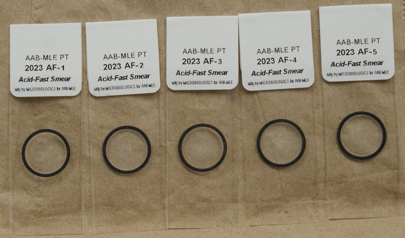 2024 AAB MLE Program Guide